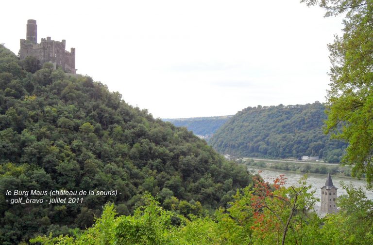 Croisière sur le Rhin romantique et légendaire en Allemagne
