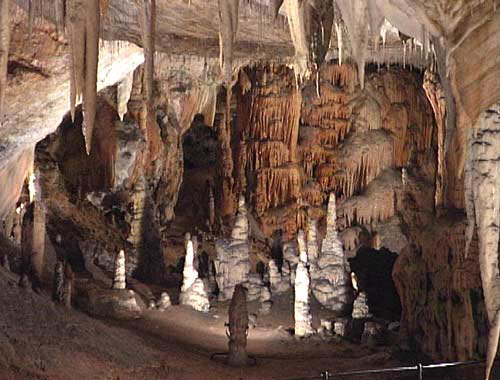 Grottes Postojna Jama : un palais souterrain fabuleux en Slovénie ...