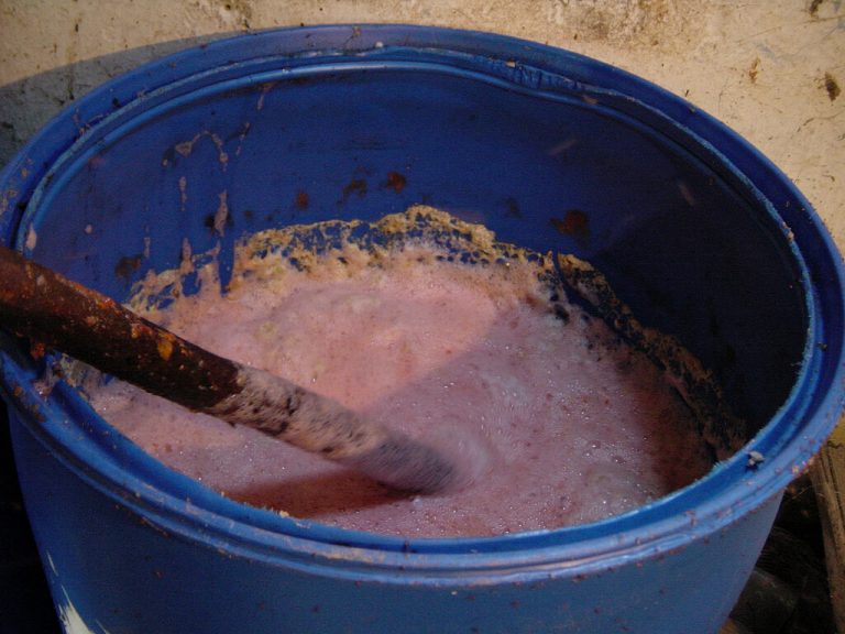 Rakija (eau de vie): institution et rituel convival des Balkans