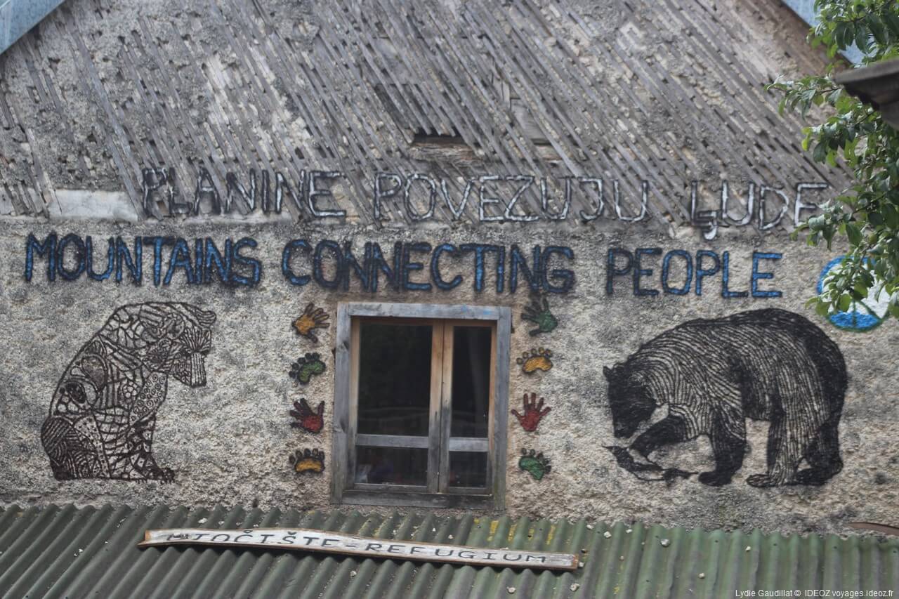 Refuge des ours de Kuterevo : rencontrez les ours bruns en Croatie