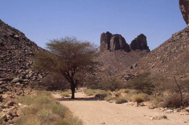 Canyons Tassili n'Ajjer: Trek en Algérie au Sefar et oued Tamrit